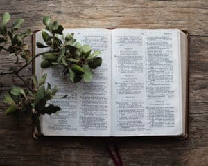 What is Worship in the Bible? 4 Ways to Truly Glorify God