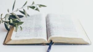 30 Descriptions of God in the Bible that Show Who He is