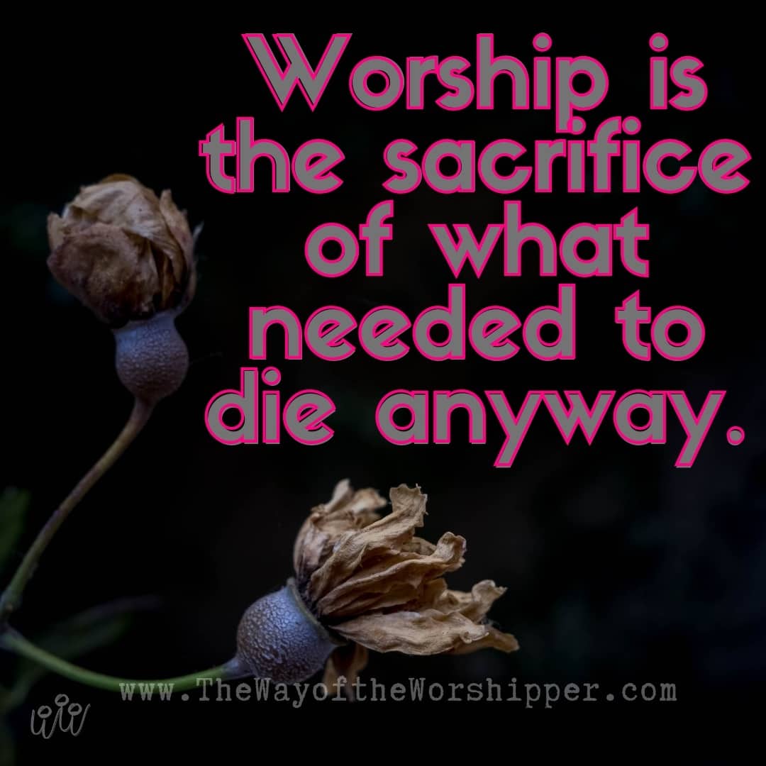 5 Ways to Present Your Body as a Living Sacrifice to God